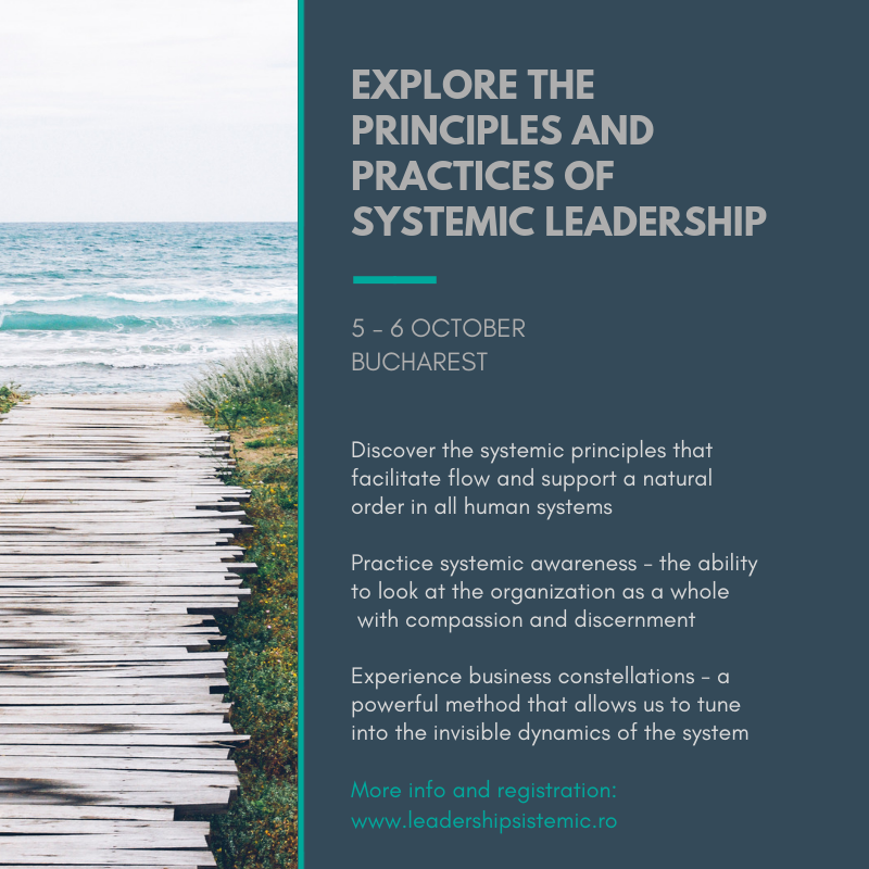 How systemic leadership helps people navigate complex change - Turning Tides